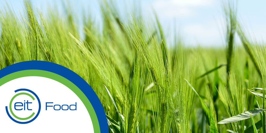 EIT Food podporí firmy v oblasti riešenia potravinových systémov do 25 ...
